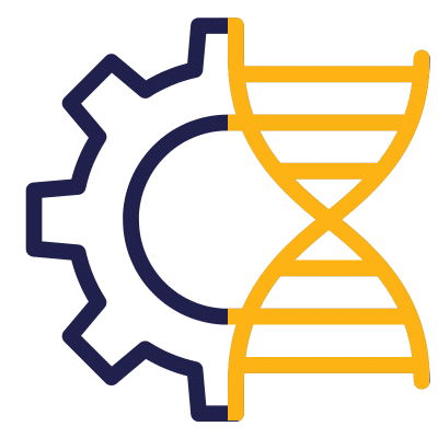 BS in Biomedical Engineering - University of Science and Technology of ...