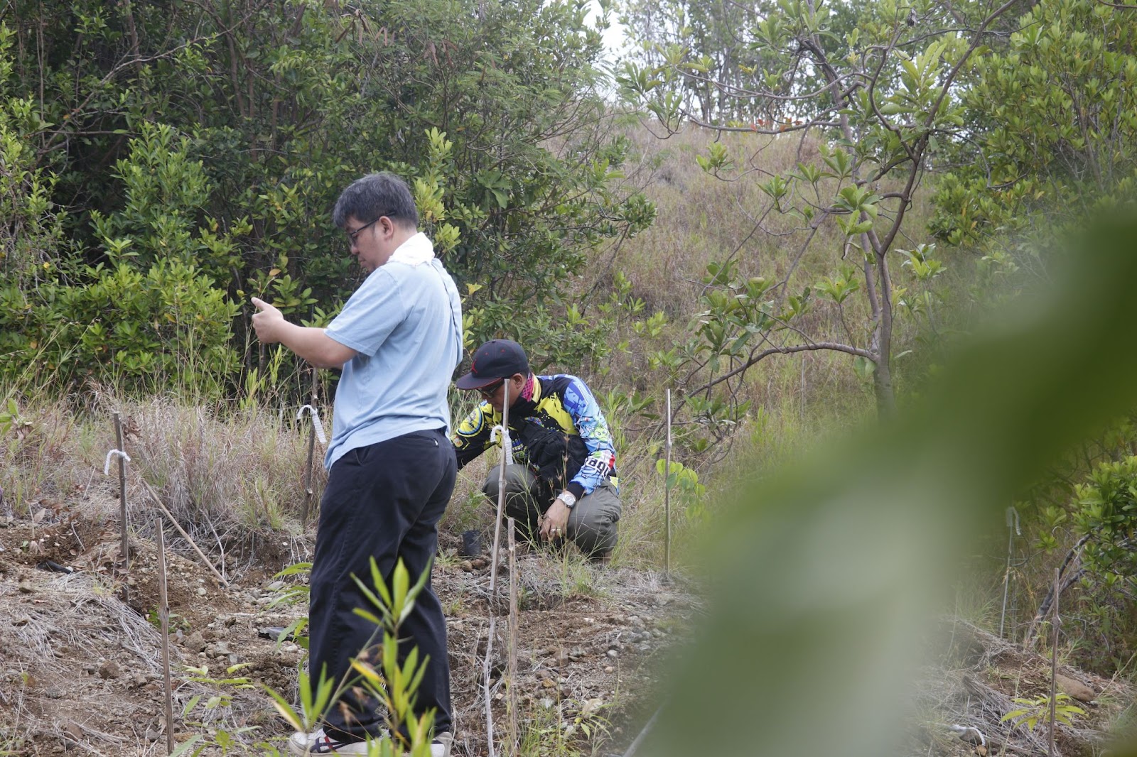 Launching of Reforestation Program marks start of USTP’s 7th Charter ...