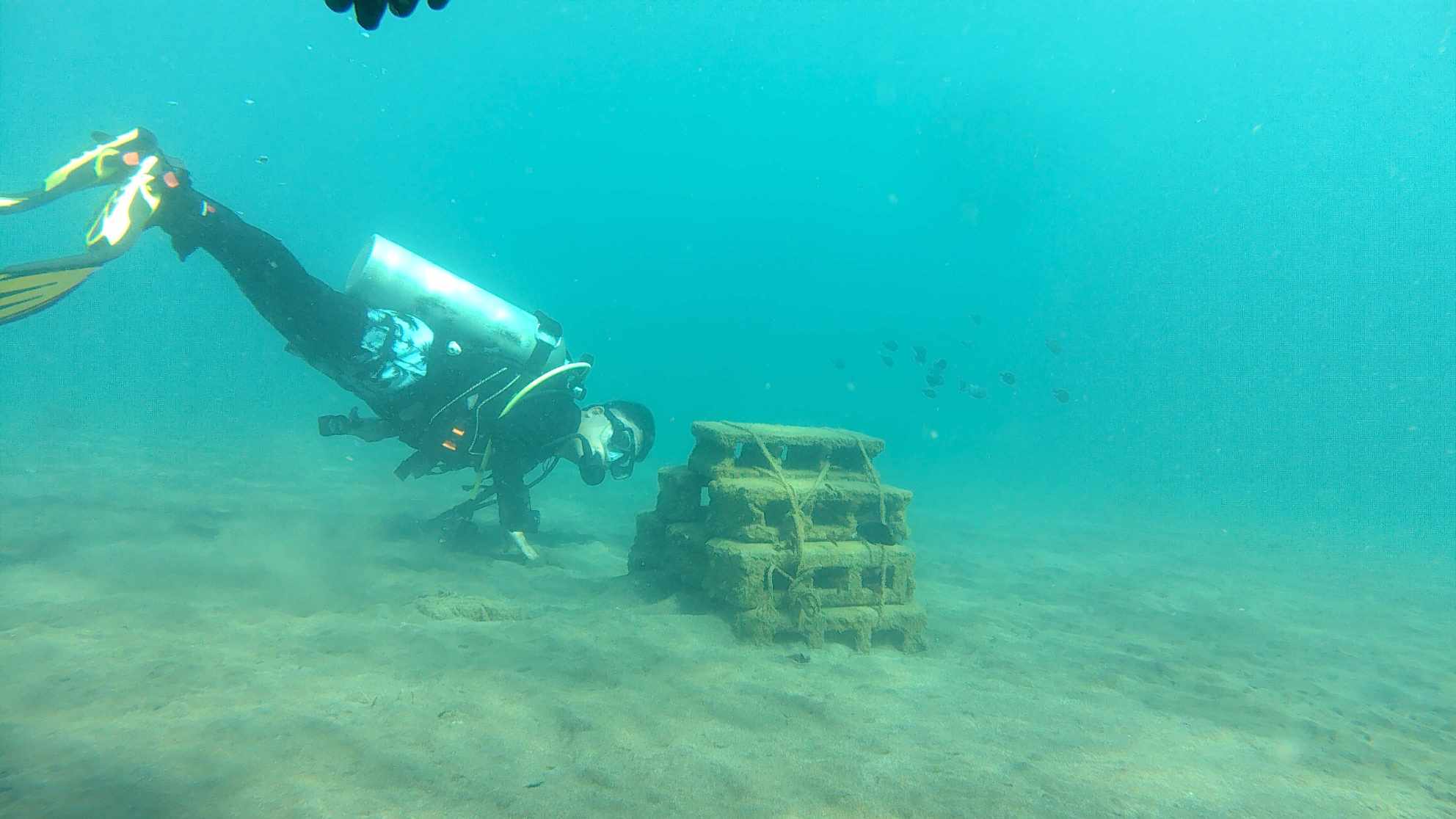 BSMB students install Artificial Coral Reefs in Panaon Coastal Waters ...