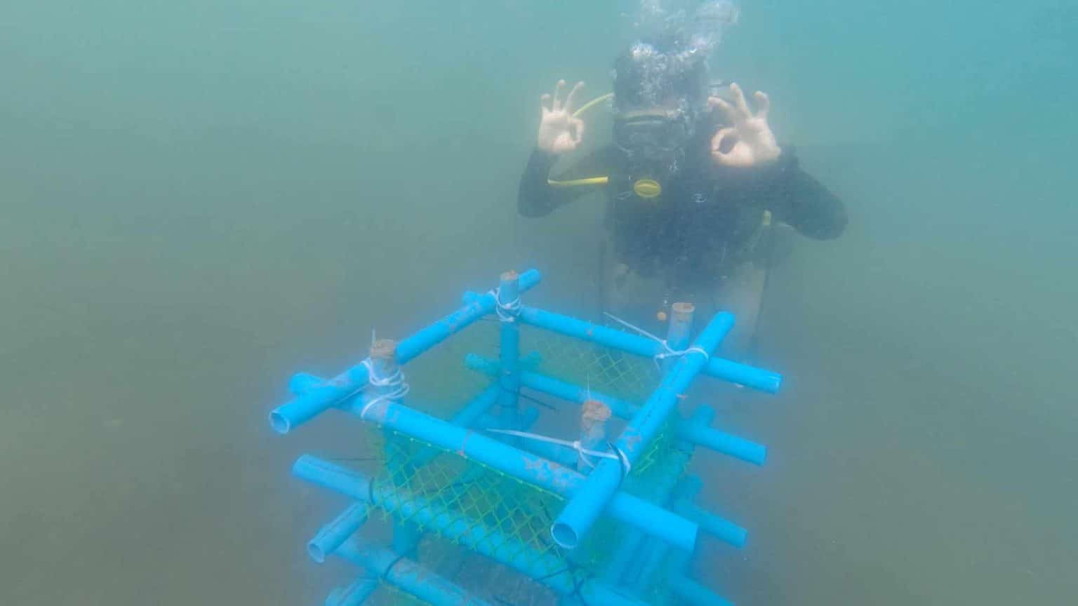 BSMB students install Artificial Coral Reefs in Panaon Coastal Waters ...