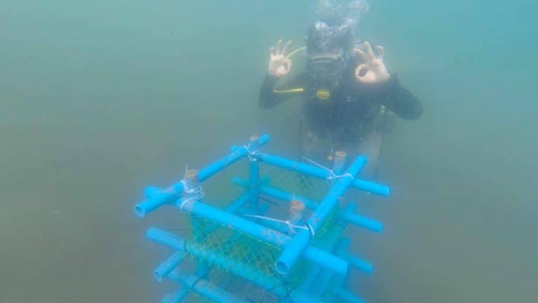 BSMB students install Artificial Coral Reefs in Panaon Coastal Waters ...