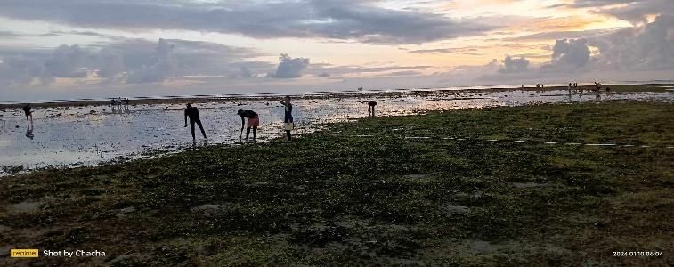 BSMB conducts Field Assessment of Marine Macro-Invertebrates ...