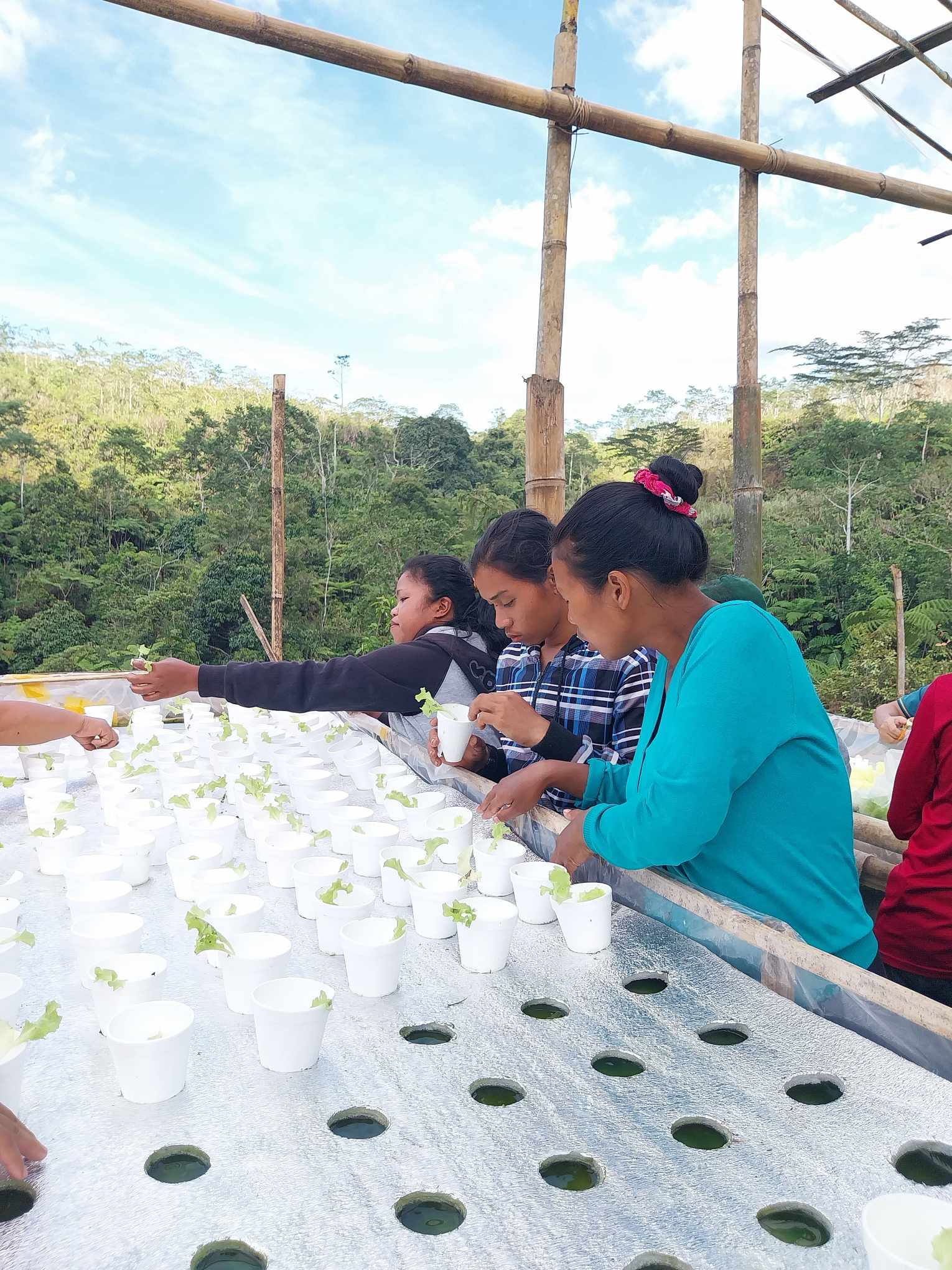 USTP CHD, CSTE sign MOA with Talaandig Tribe for food security and ...