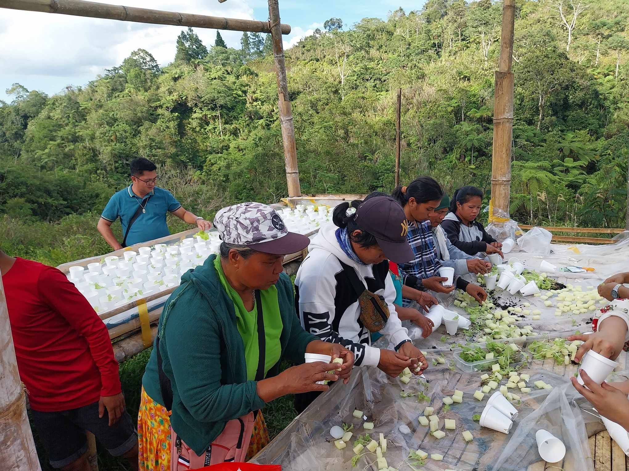 USTP CHD, CSTE sign MOA with Talaandig Tribe for food security and ...