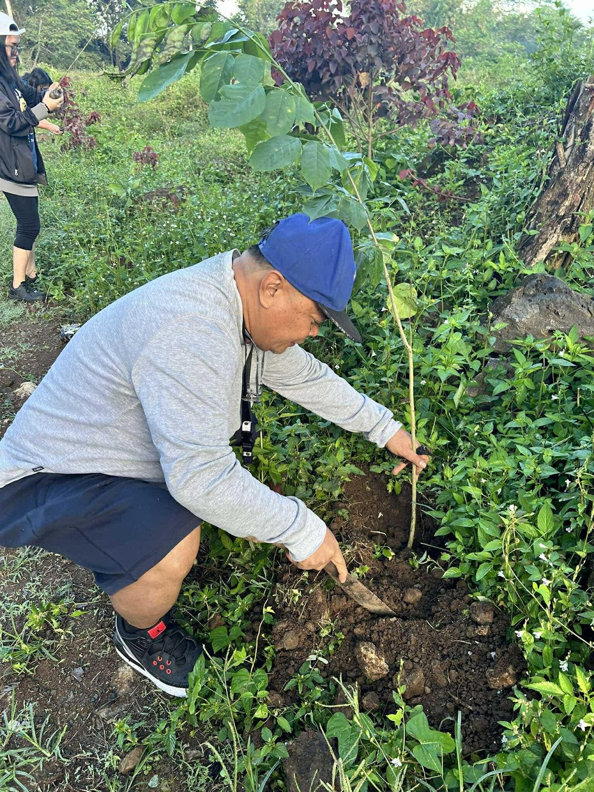 USTP Jasaan participates in tree planting activity - University of ...