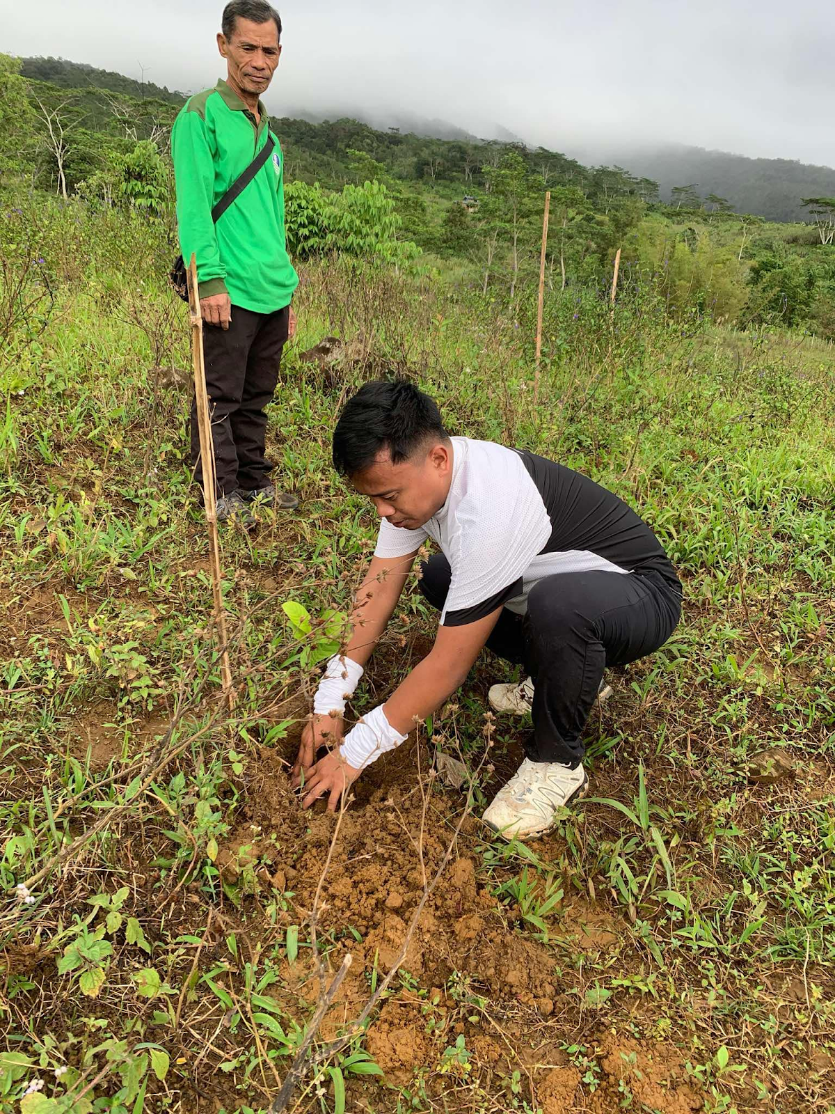 Mt. Balatukan Day: USTP Claveria joins Tree Planting Activity ...